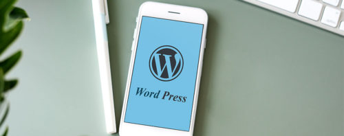 WordPress Journey: Evolution Of WordPress Development From 2003 – 2020 – Infoxen Technologies